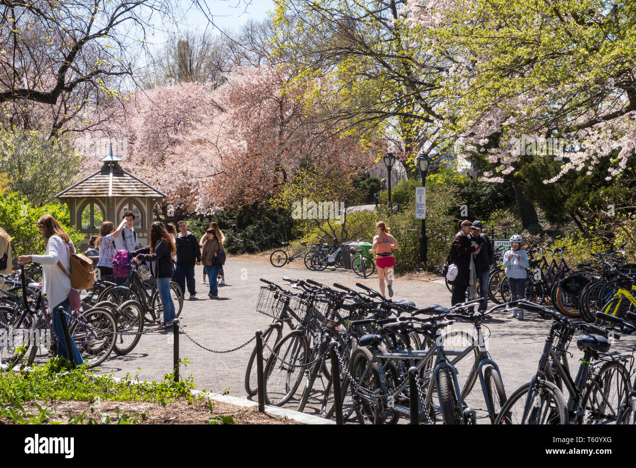Historic bridle path hi-res stock photography and images - Alamy