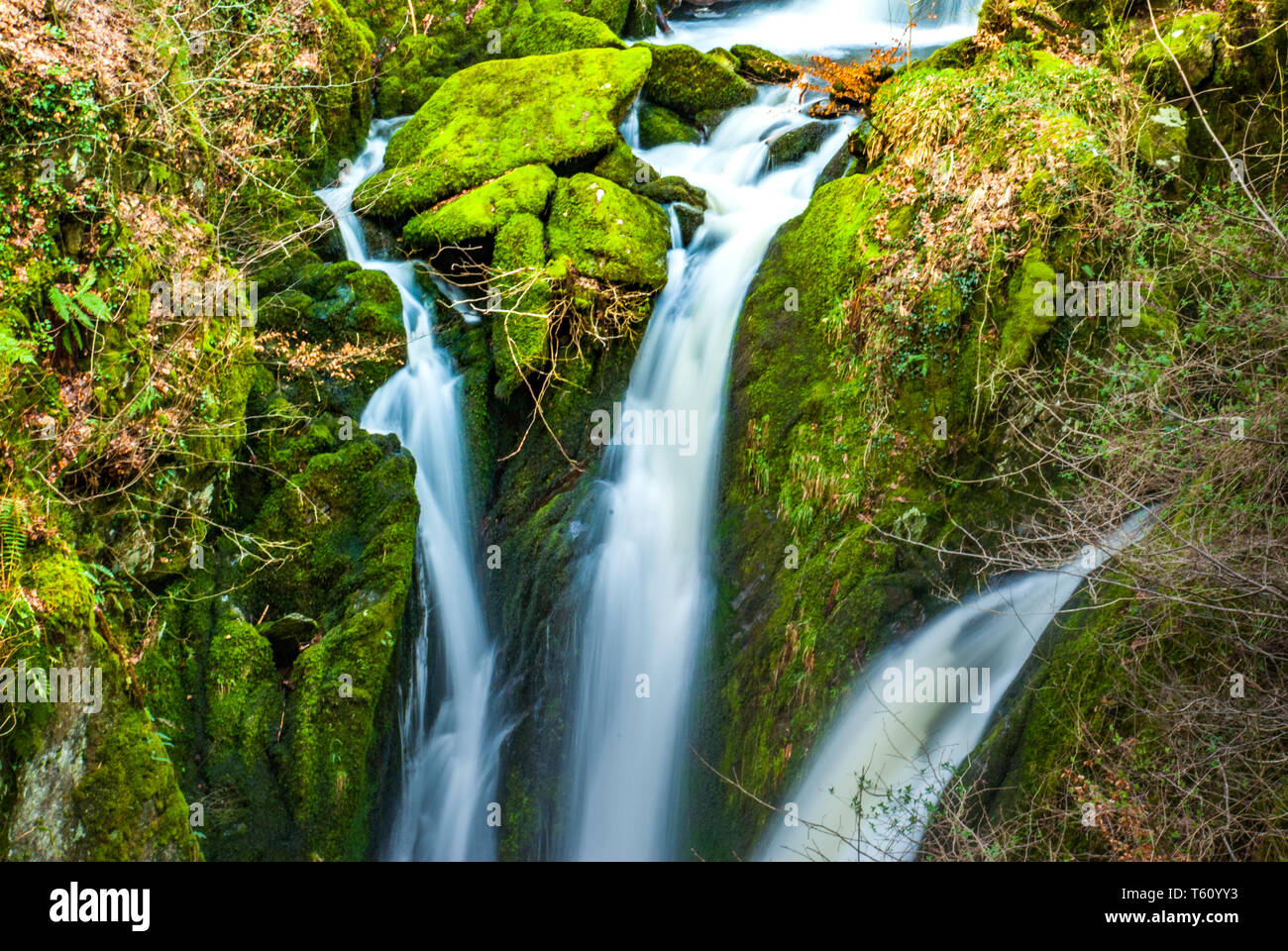 Waterfall green forest river stream landscape, Beautiful natural ...