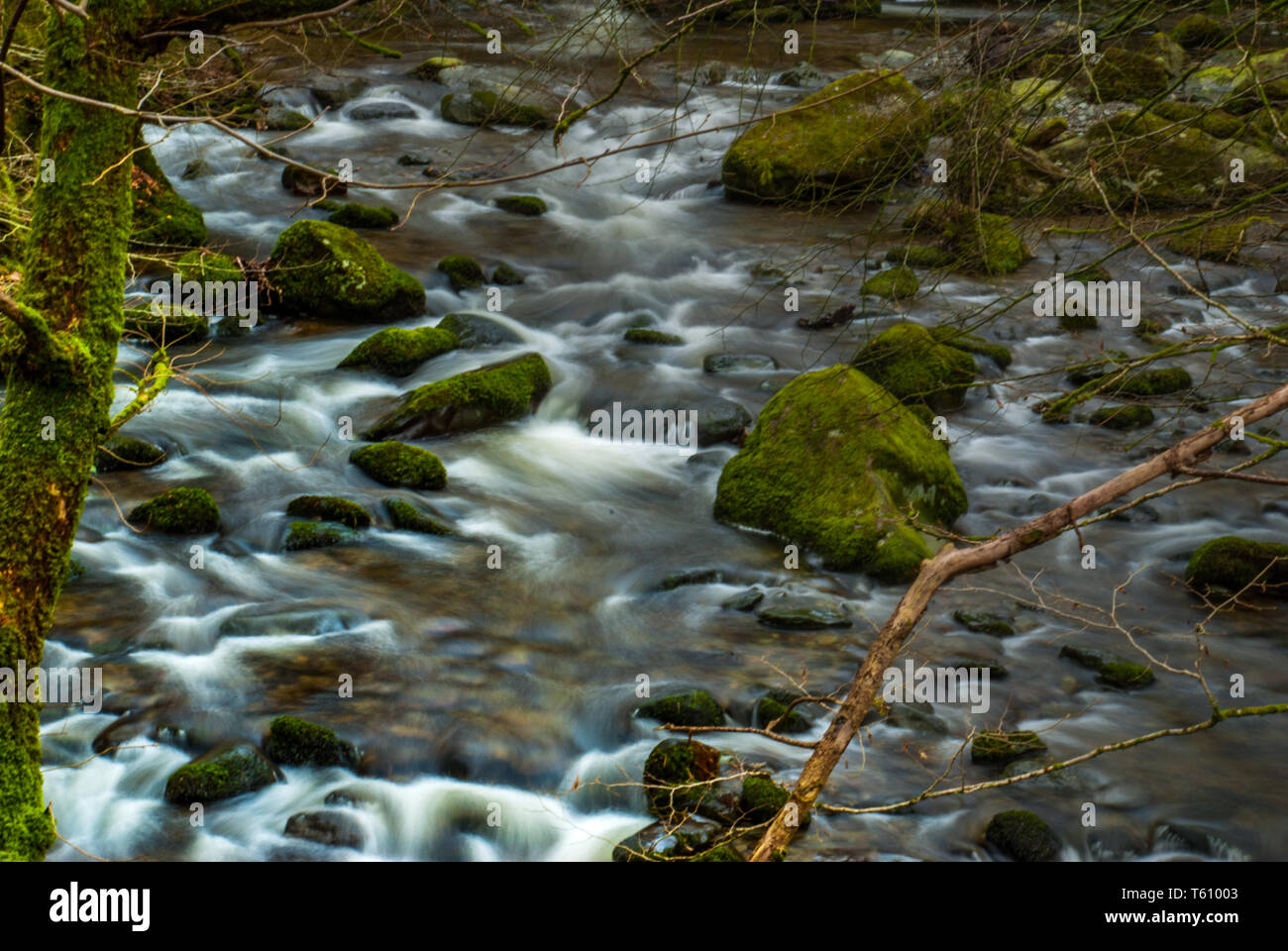 Water streaming downhill hi-res stock photography and images - Alamy