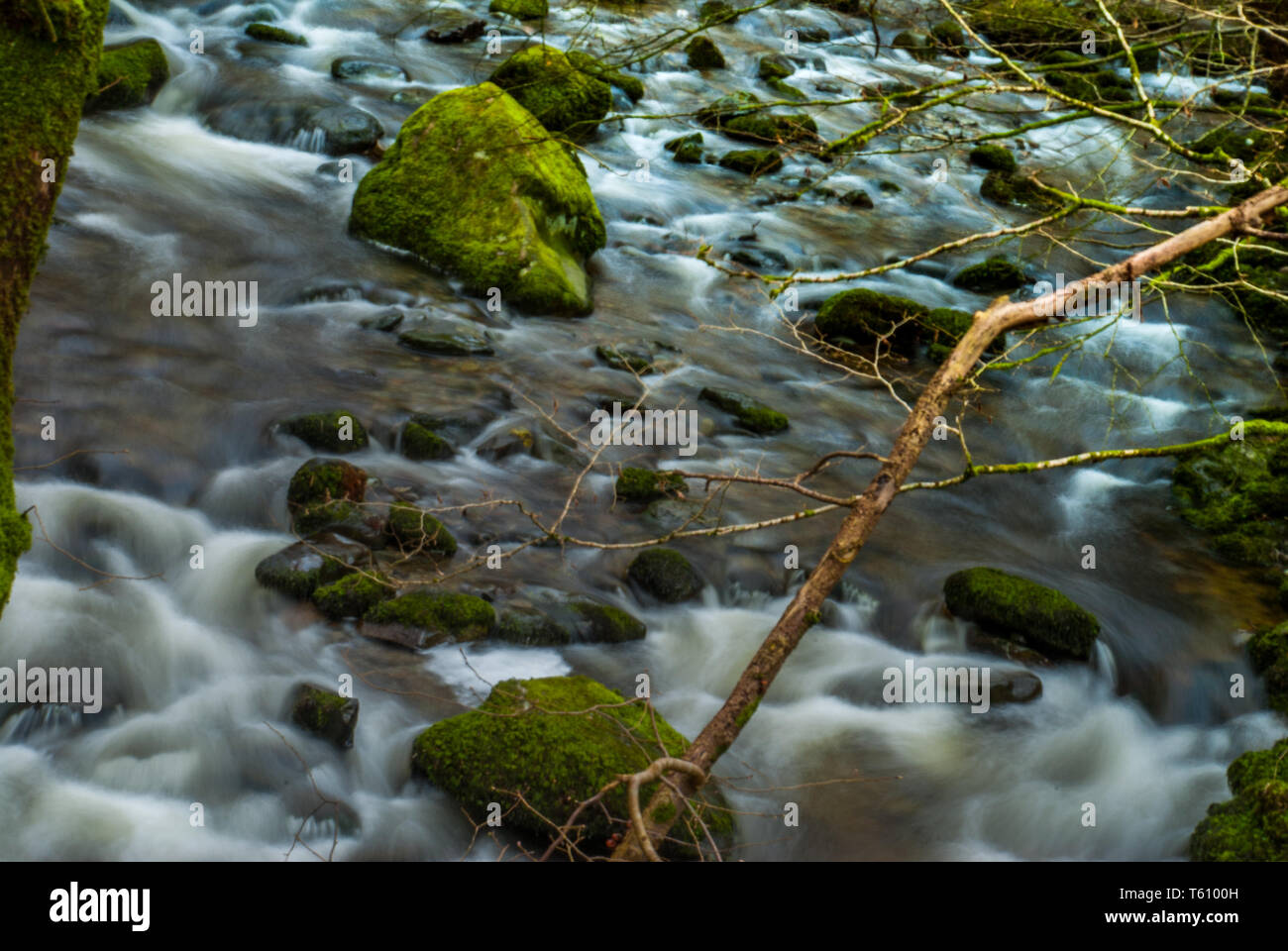Water streaming through the rocks downhill creating a beautiful small ...