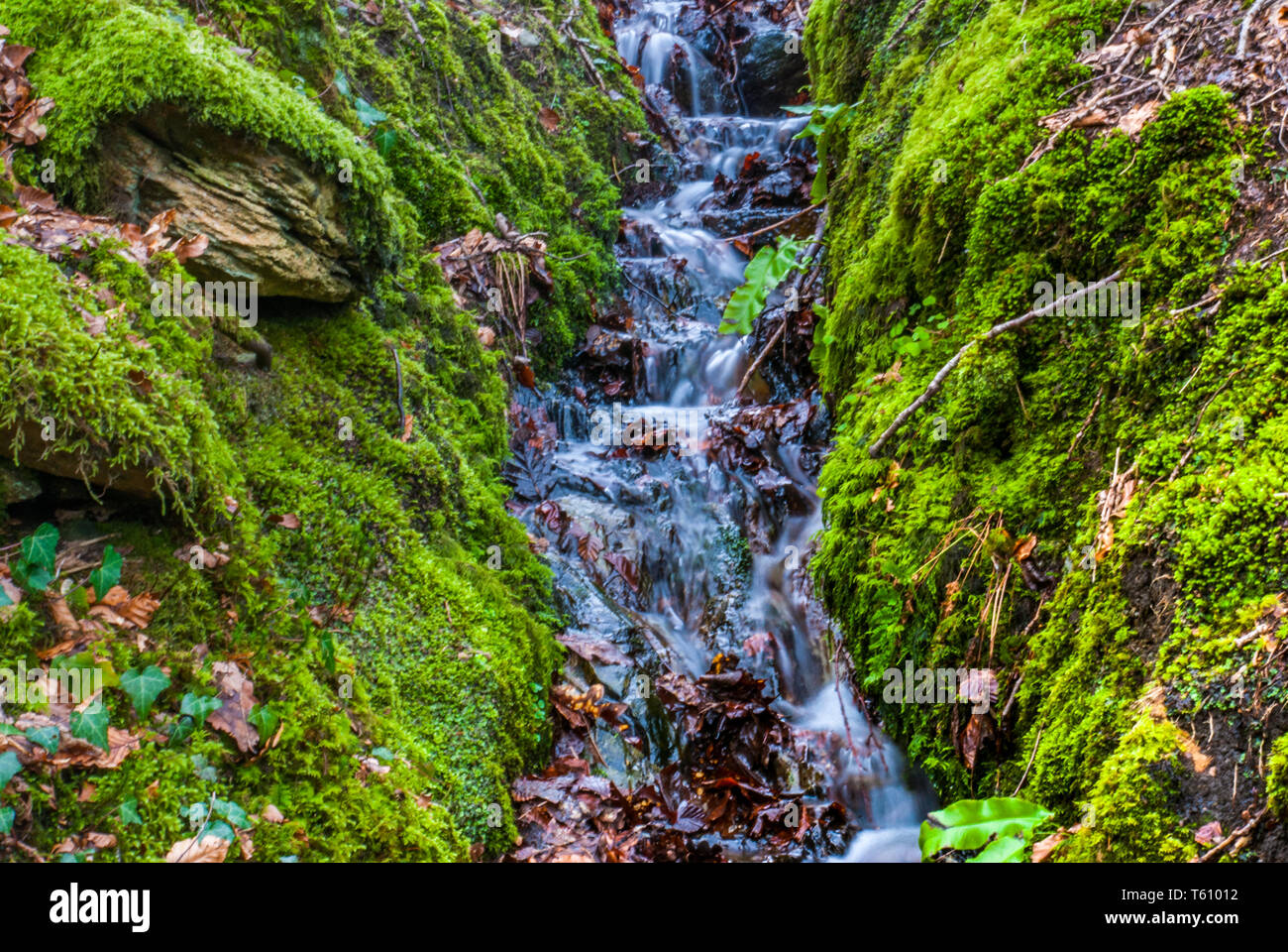 Waterfall green forest river stream landscape, Beautiful natural ...