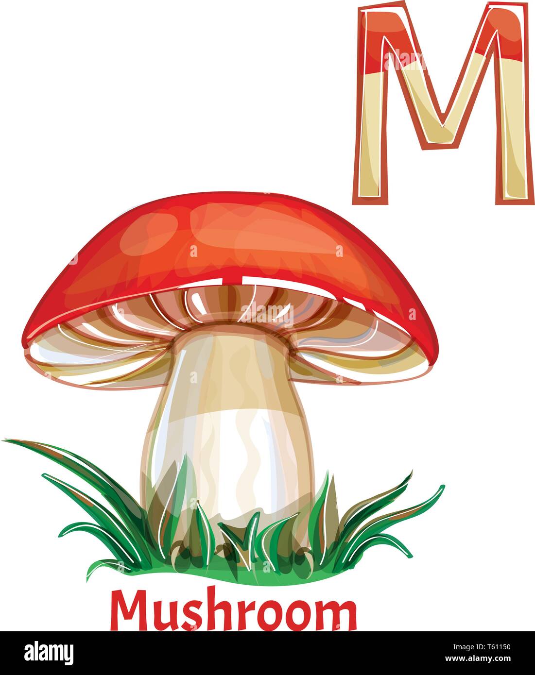 English Mushroom Stock Vector Images - Alamy