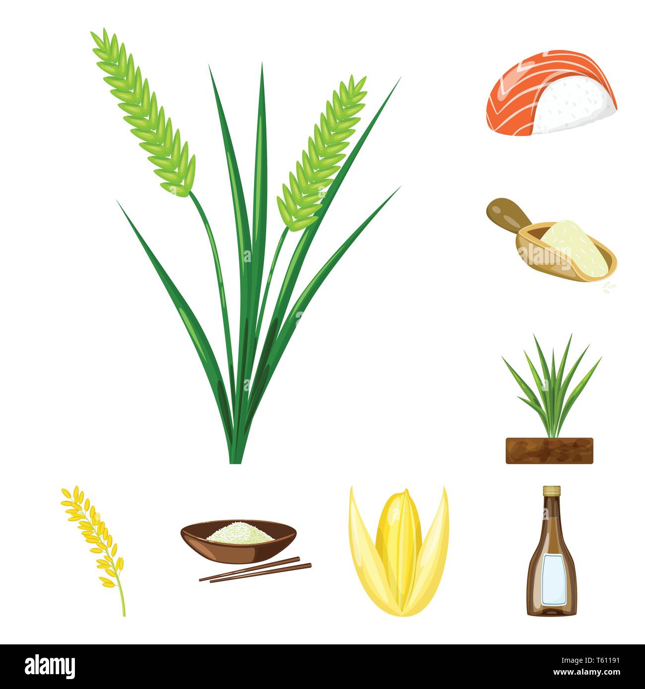 grain,rice,scoop,panicle,spikelet,plate,sauce,boiled,soy,leaf,cooked ...