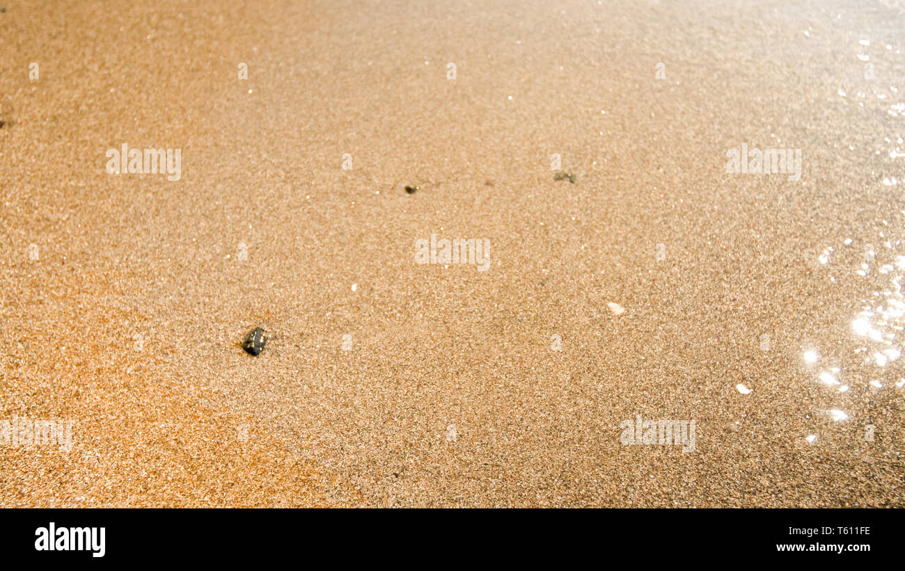 Closeup abstract photo of wet sand and calm sea at beach Stock Photo ...