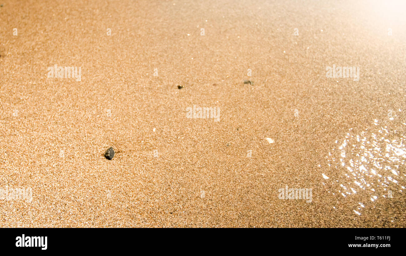 Closeup abstract photo of wet sand and calm sea at beach Stock Photo ...