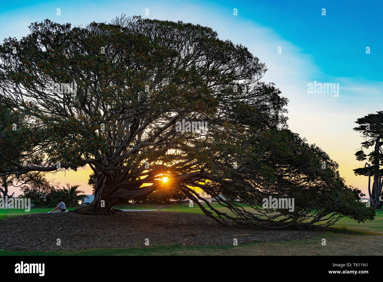 Lovely shadows hi-res stock photography and images - Alamy