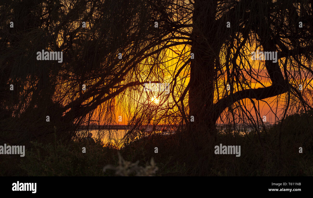 Silhouette and shadows hi-res stock photography and images - Alamy