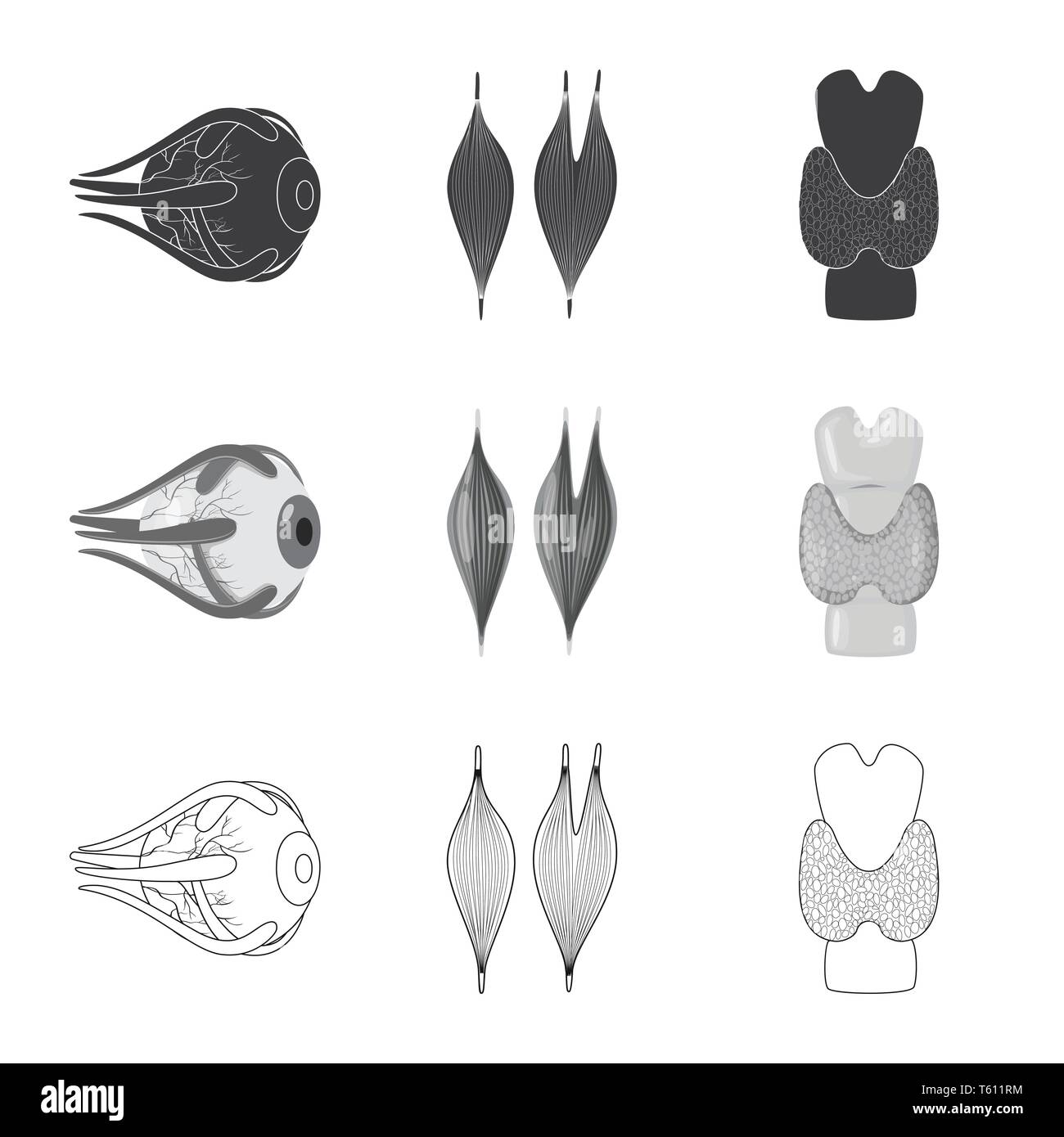 Vector design of biology and scientific logo. Set of biology and ...