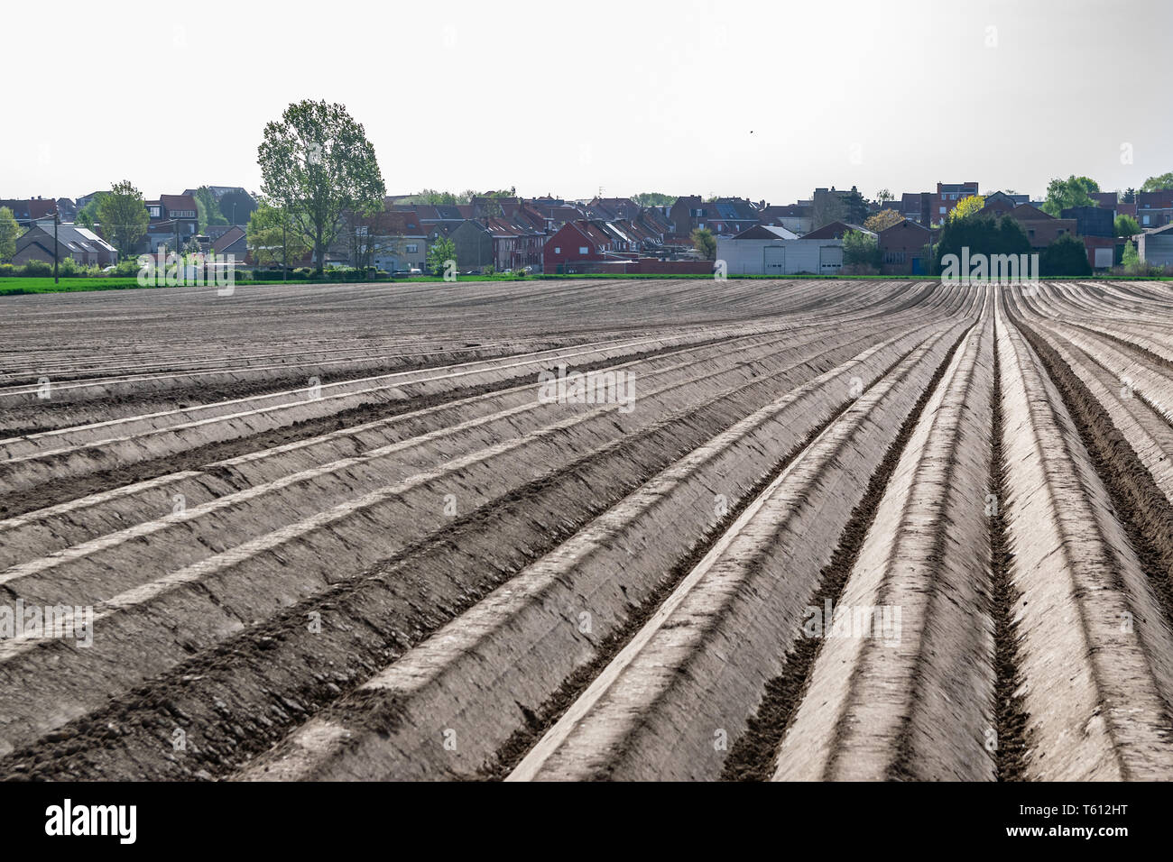 Agricultural texture hi-res stock photography and images - Alamy