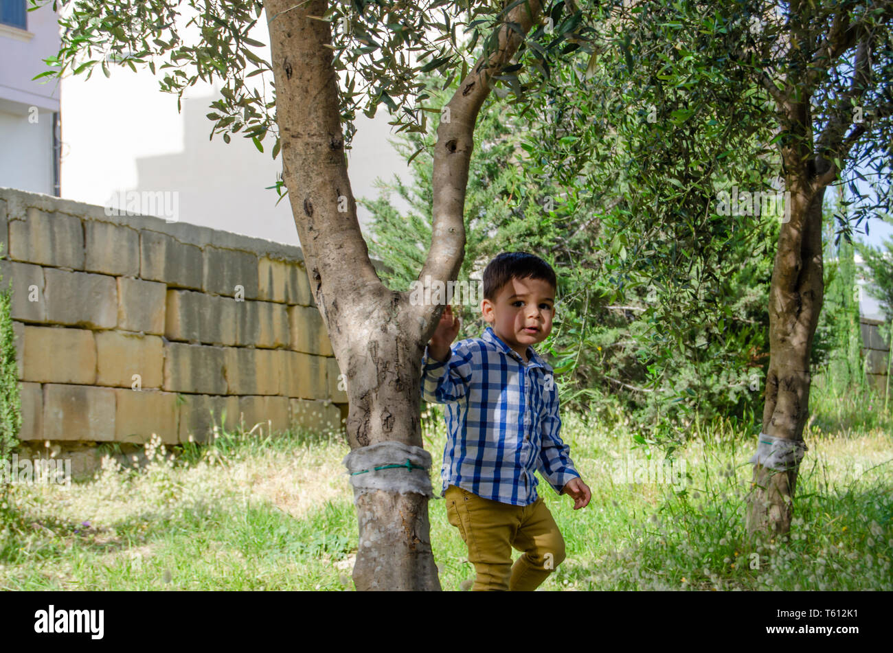 Boy Hiding Behind Tree High Resolution Stock Photography and Images - Alamy
