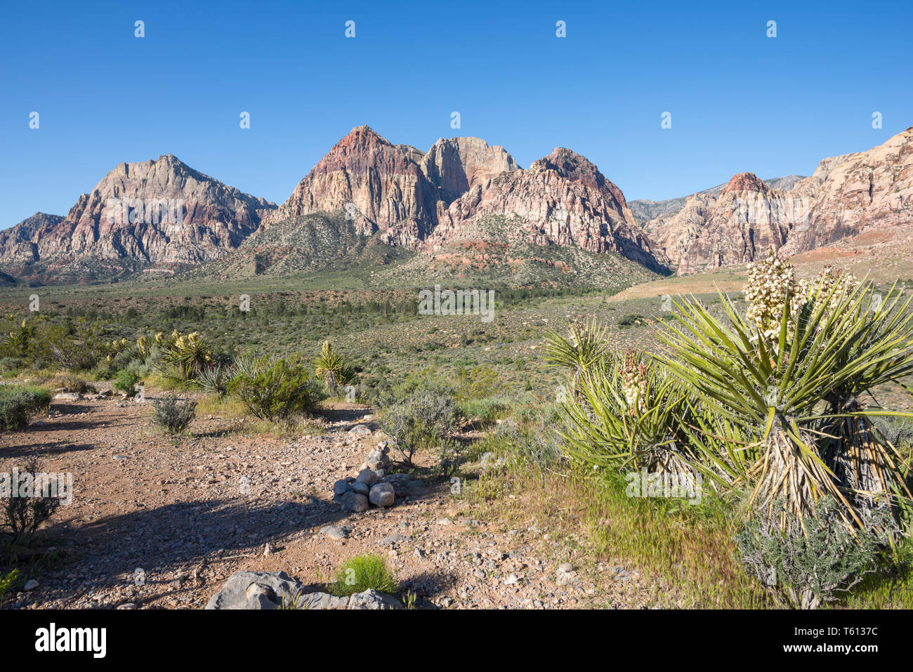 Nature landscape at Red Rock Canyon National Conservation Area. Las ...