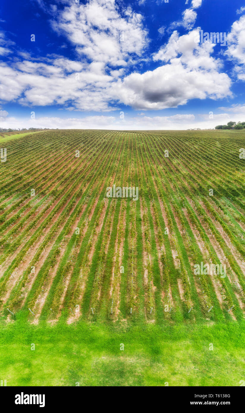 Making straight rows hi-res stock photography and images - Alamy