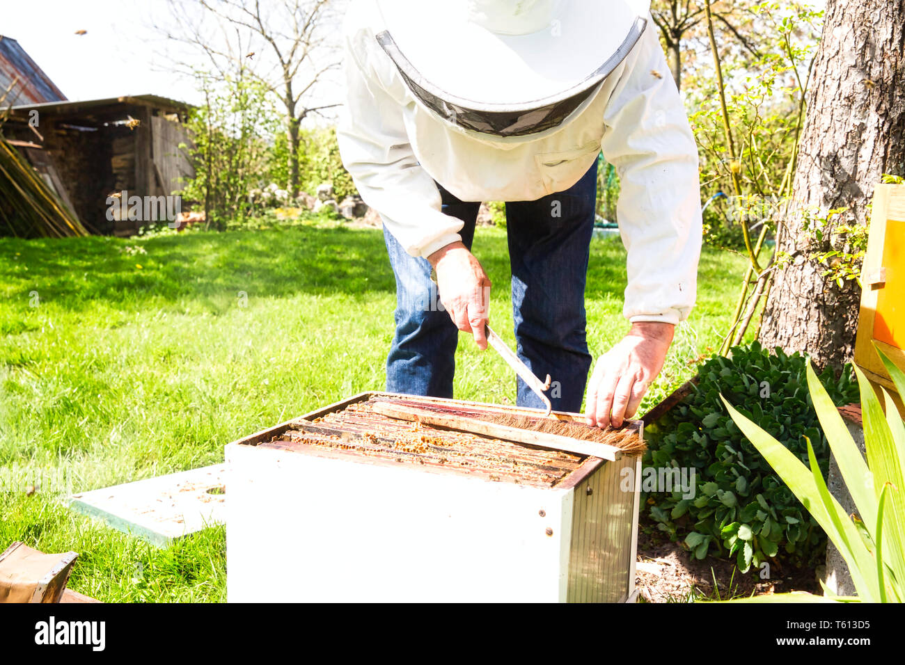 How to move a beehive hi-res stock photography and images - Alamy