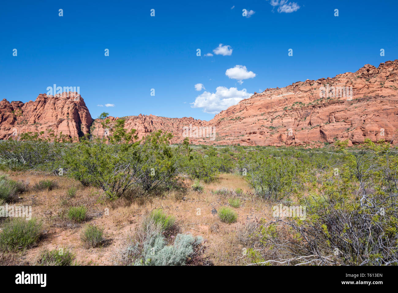 Snow Canyon State Park. Ivins, Utah, USA Stock Photo - Alamy