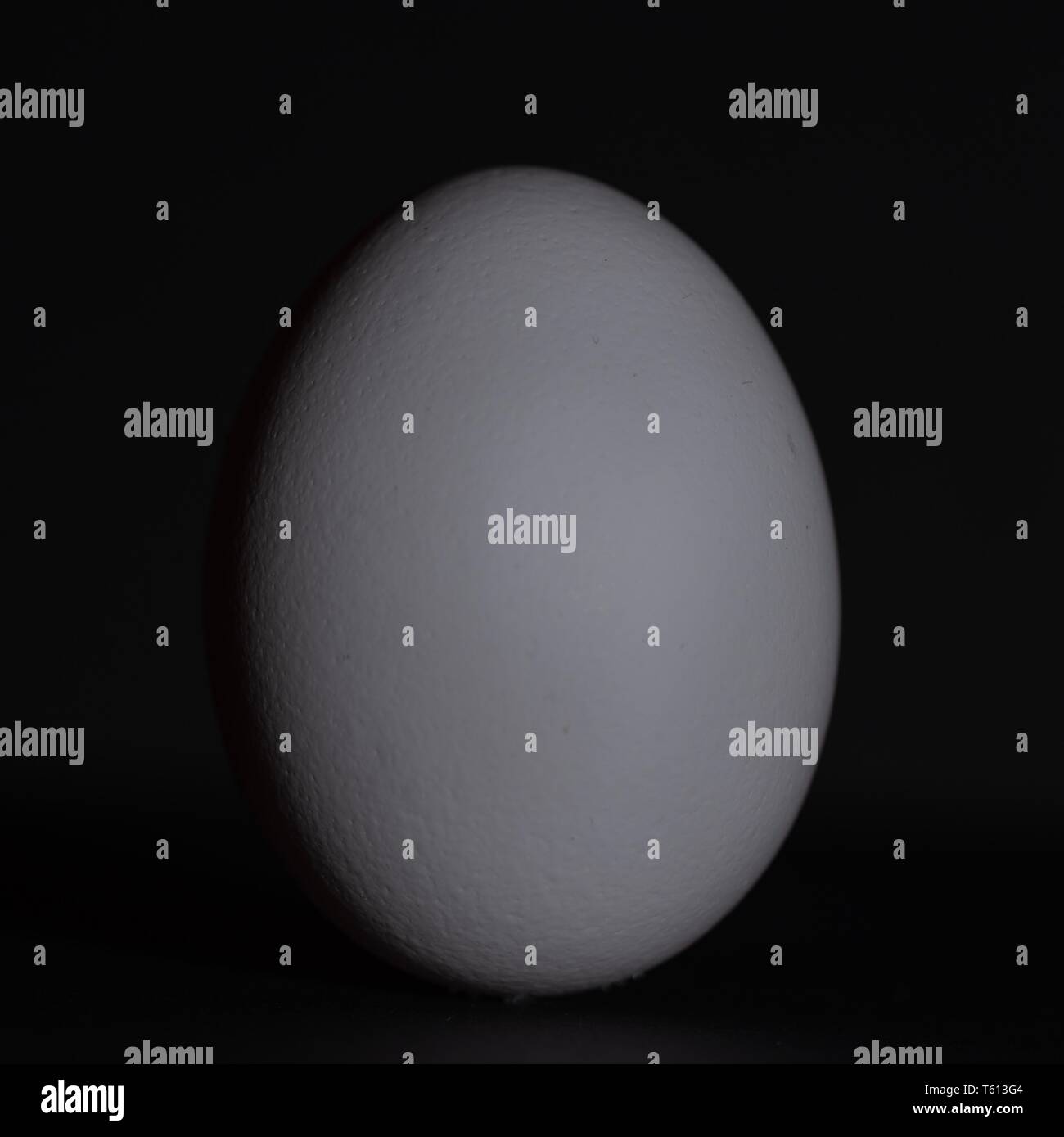 Eggshell background hi-res stock photography and images - Alamy