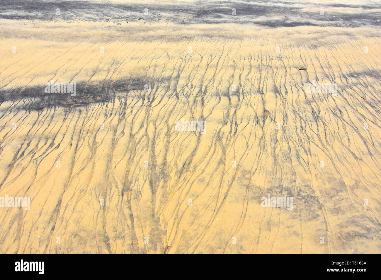 Dark striped ripple pattern made from sand and water on a sand dune ...