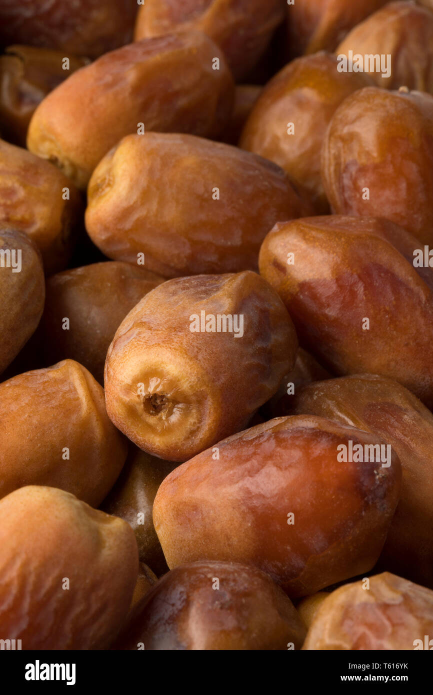 Zahedi hi-res stock photography and images - Alamy