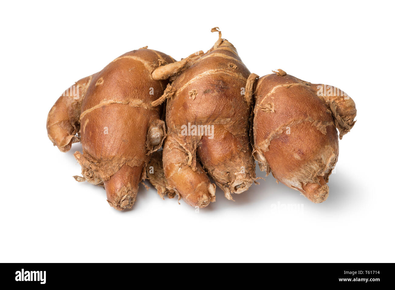 Fresh raw kencur roots isolated on white background Stock Photo - Alamy