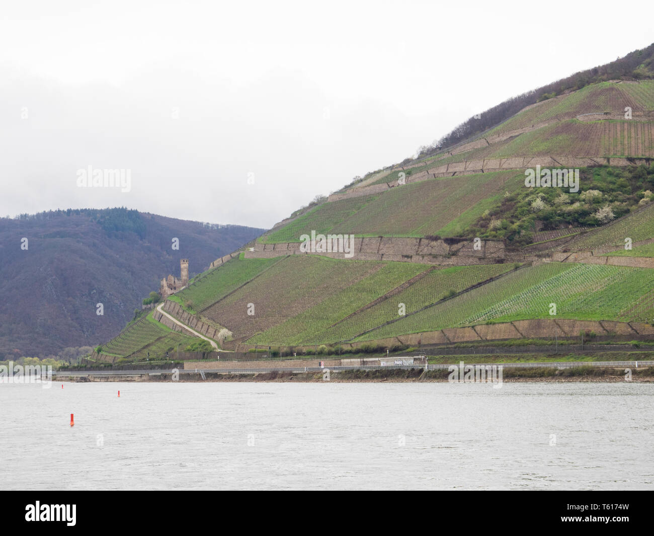 cruise on the romantic rhine Stock Photo - Alamy