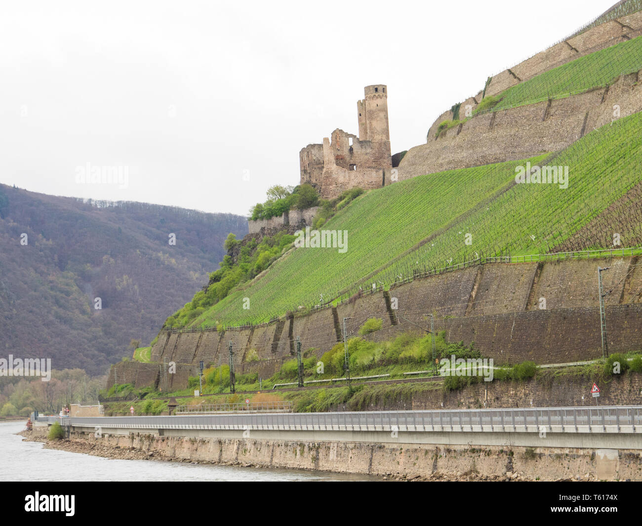 cruise on the romantic rhine Stock Photo - Alamy