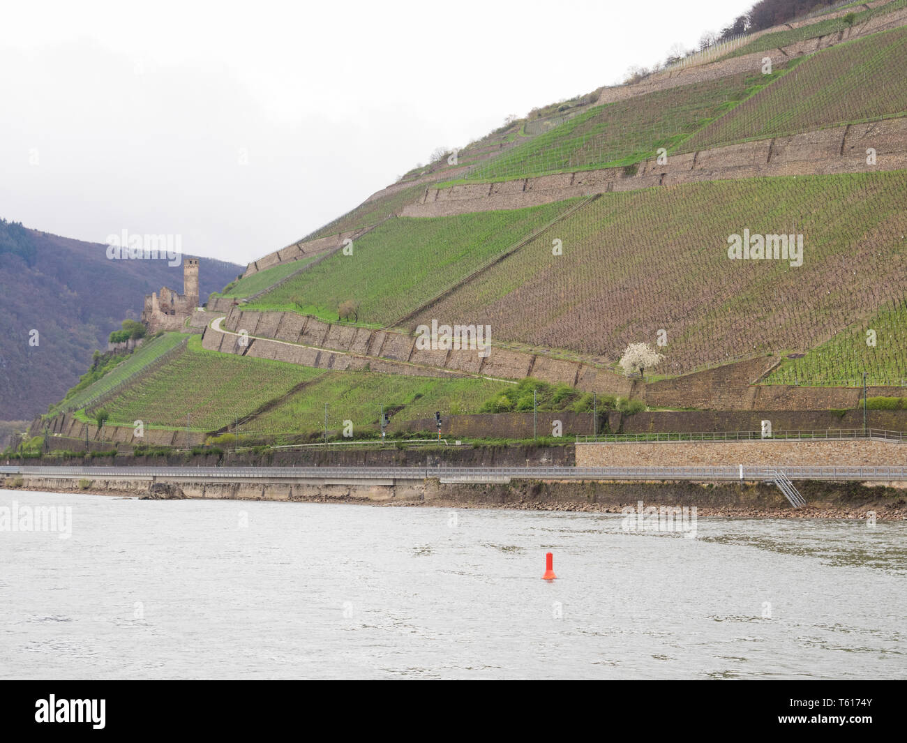 cruise on the romantic rhine Stock Photo - Alamy