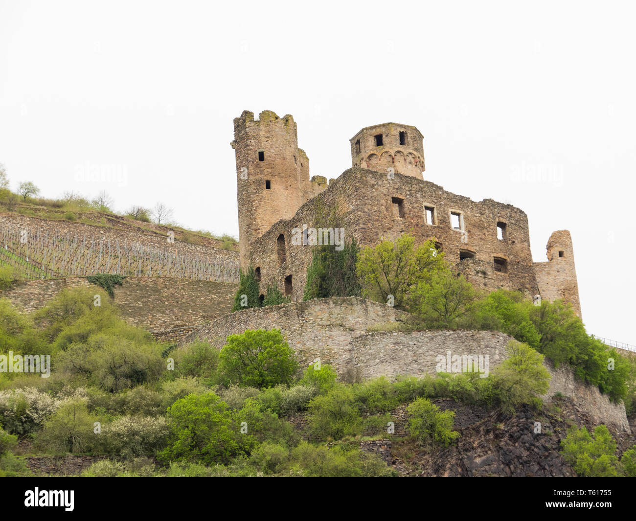 cruise on the romantic rhine Stock Photo - Alamy