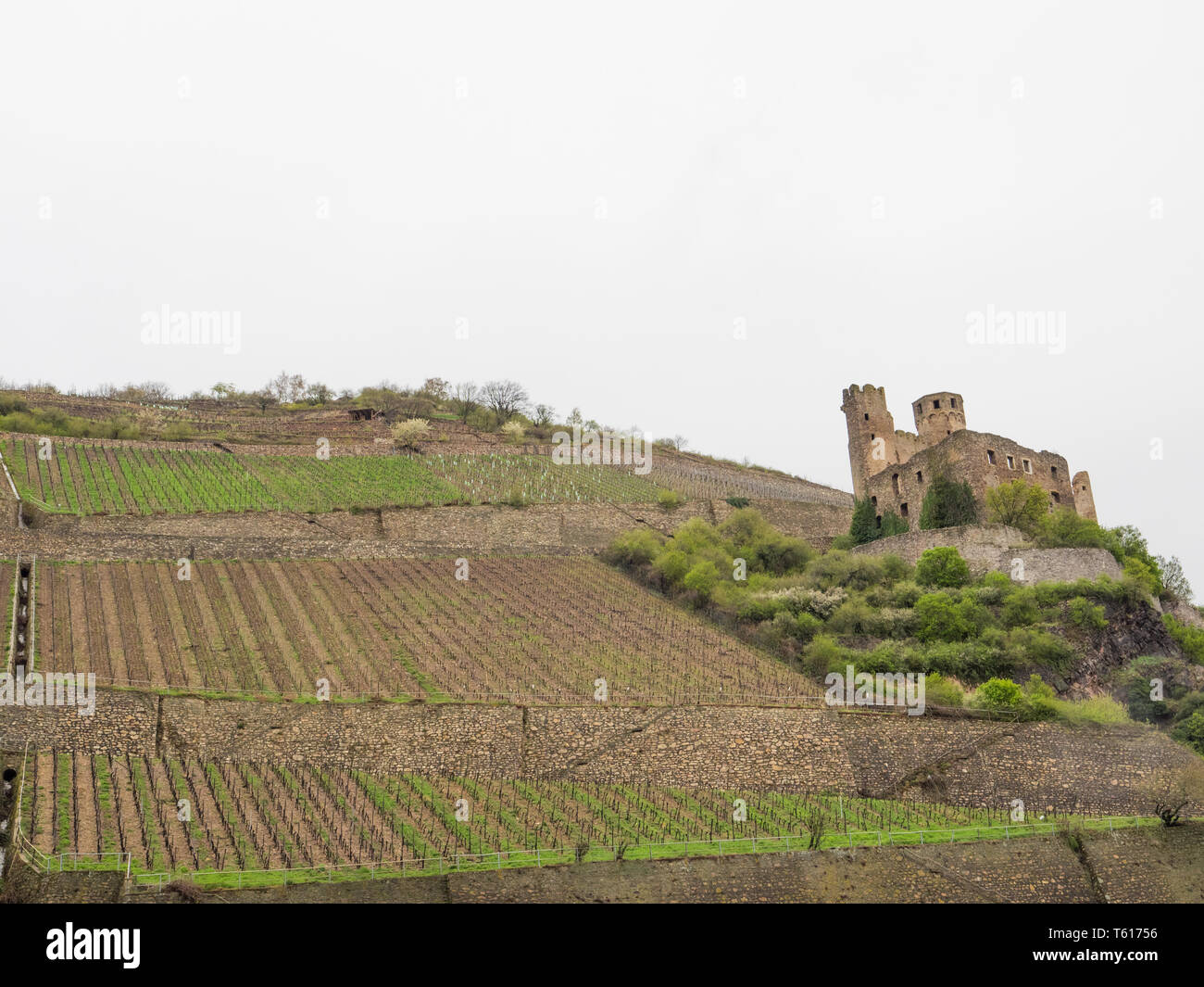 cruise on the romantic rhine Stock Photo - Alamy