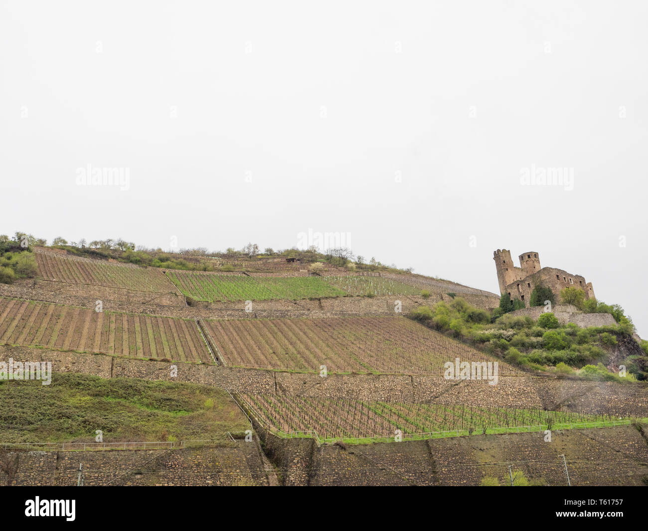 cruise on the romantic rhine Stock Photo - Alamy