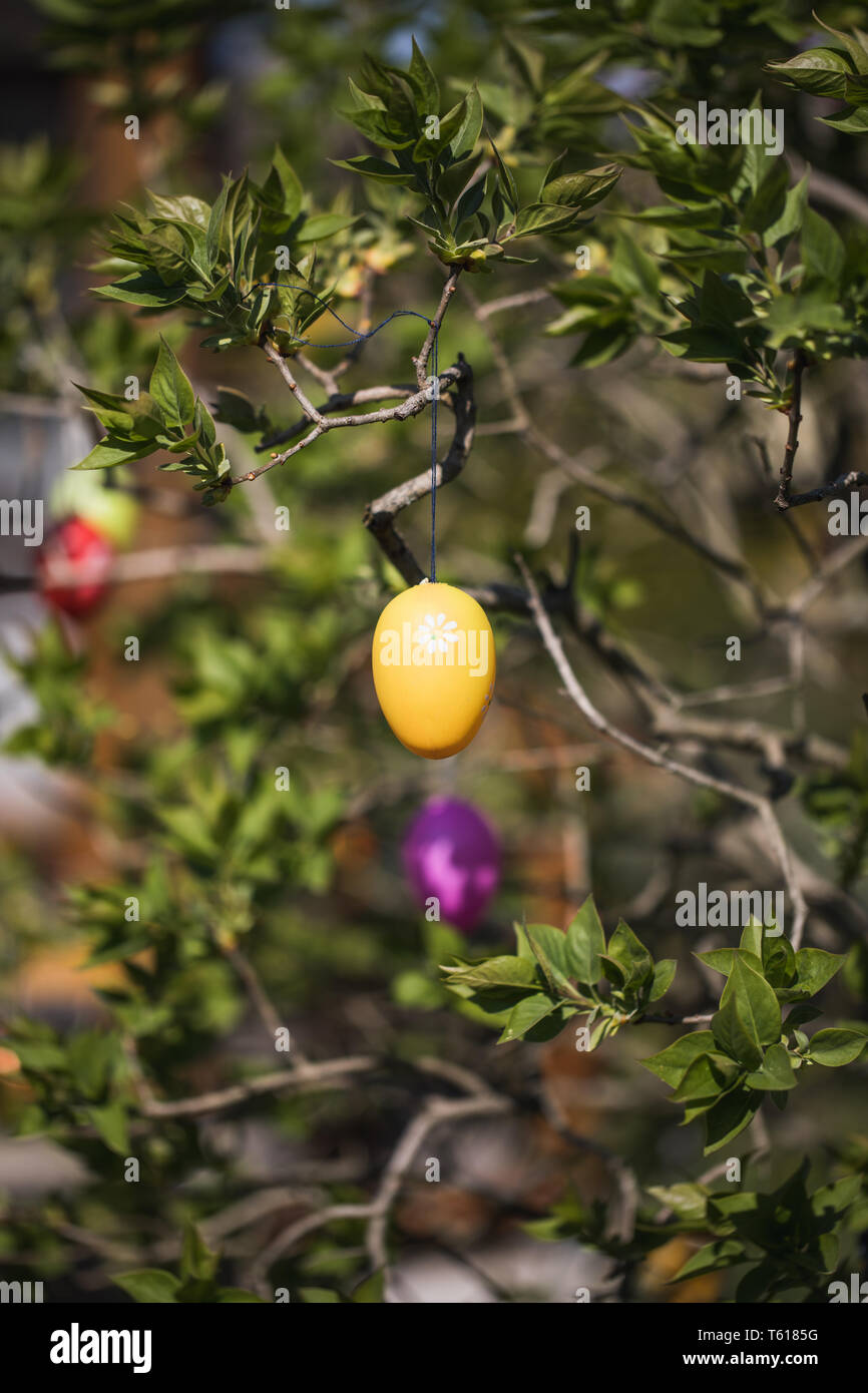 yellow easter egg hanging on a tree in a garden in germany Stock Photo ...
