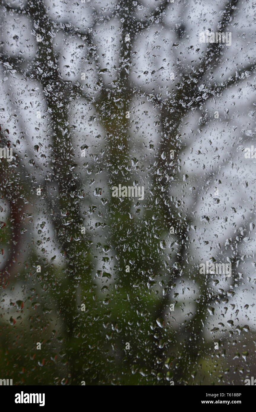 Rain drops on the window with forest background Stock Photo - Alamy