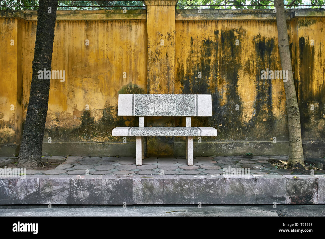 Textured granite bench between two trees on the background of the ...