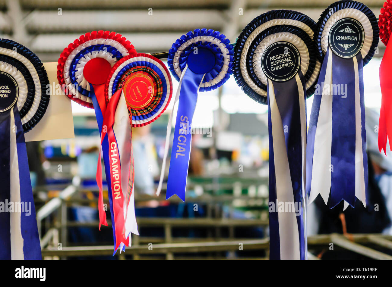 Rosette Rosettes Agricultural Show High Resolution Stock Photography ...