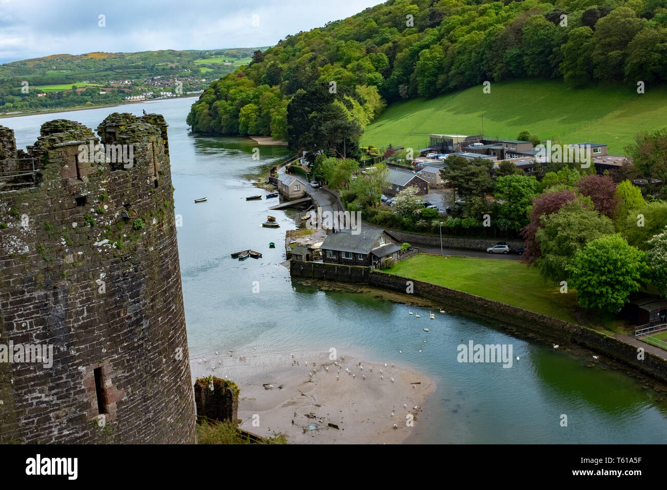 Conwy Castle in North Wales, UK, a 700-year-old fortification built by ...