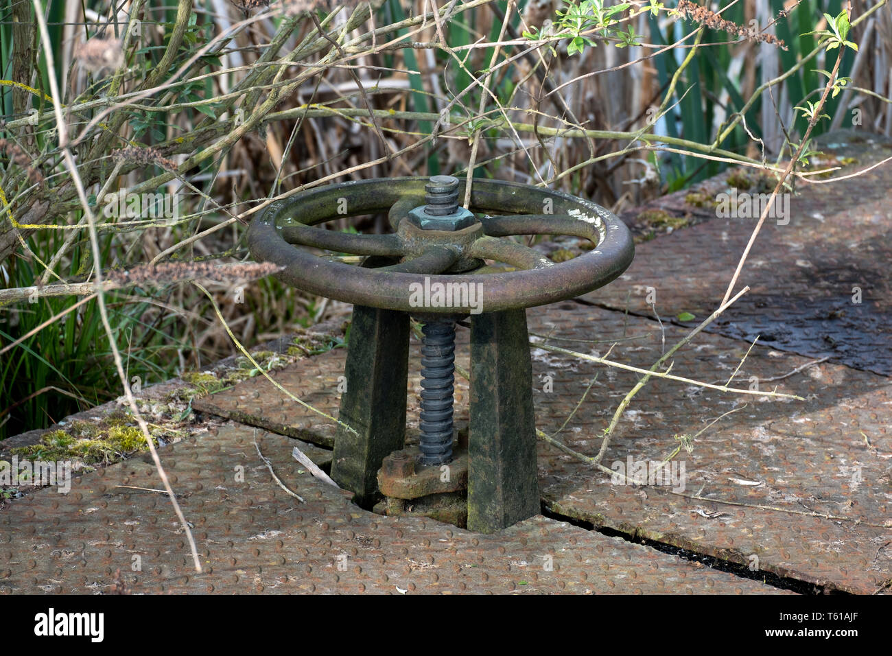 Heavy duty steel control valve wheel Stock Photo - Alamy