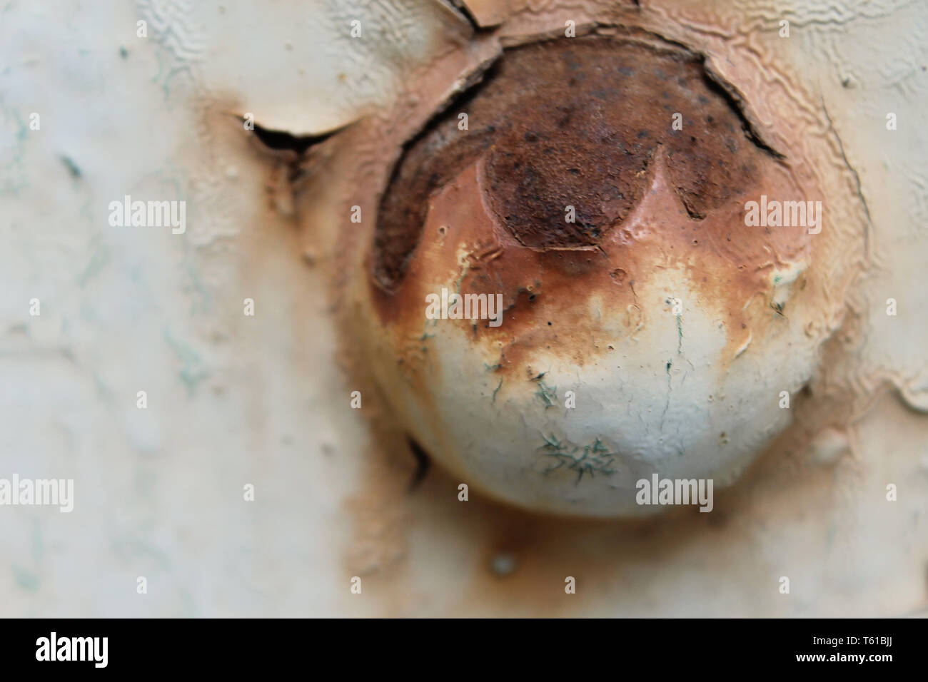 Rivets on a support beam for the Chicago L, the CTA metro train Stock ...