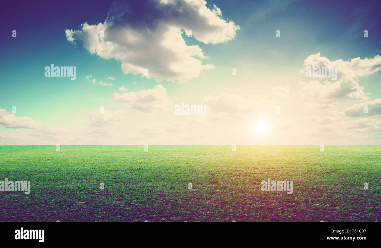 Grass field landscape panoramic Stock Photo - Alamy