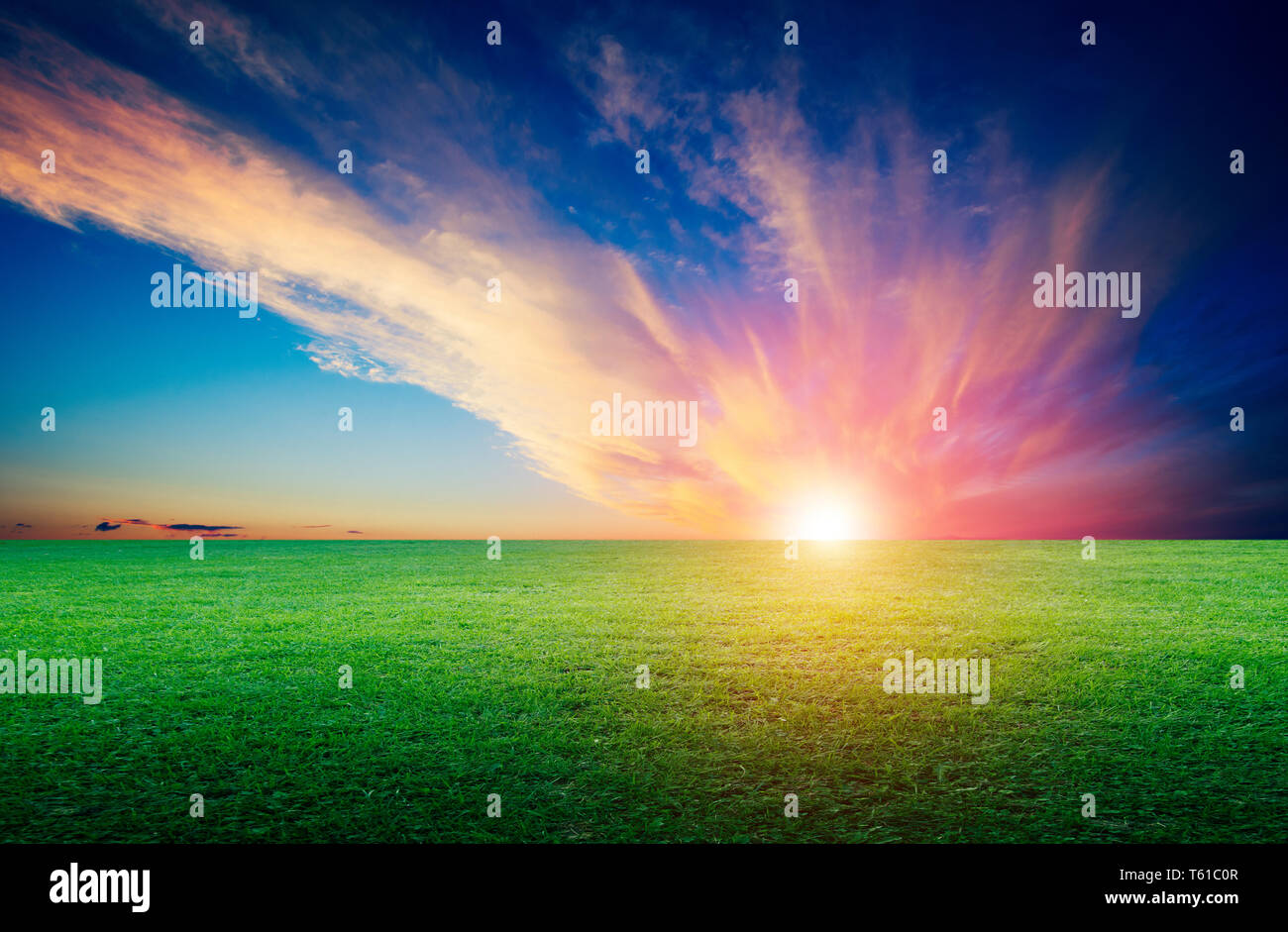 Grass field landscape panoramic Stock Photo - Alamy