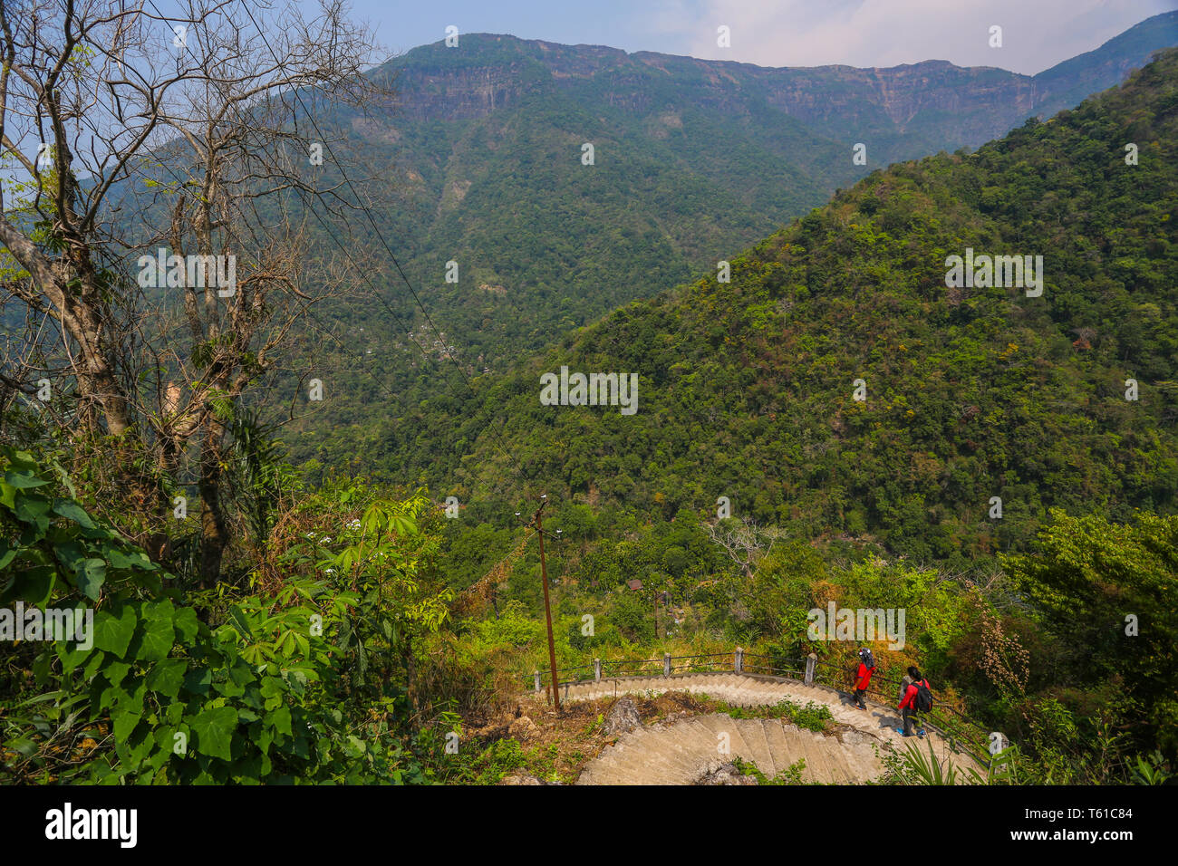 Cherrapunji root bridge hi-res stock photography and images - Alamy