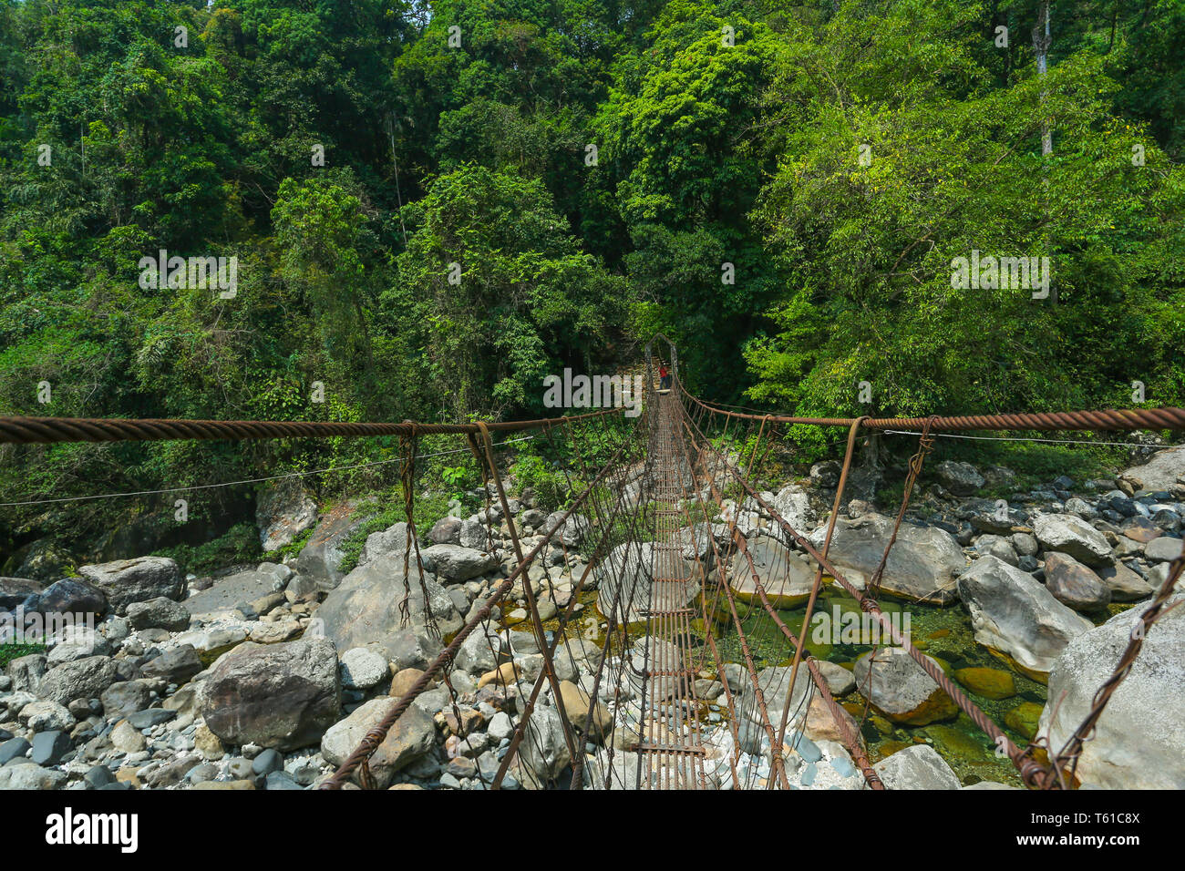 Cherrapunji root bridge hi-res stock photography and images - Alamy