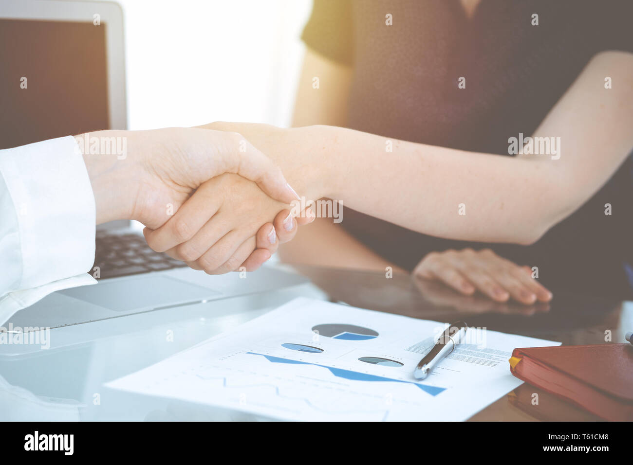 Business handshake after contract signing. Two women shaking hands ...