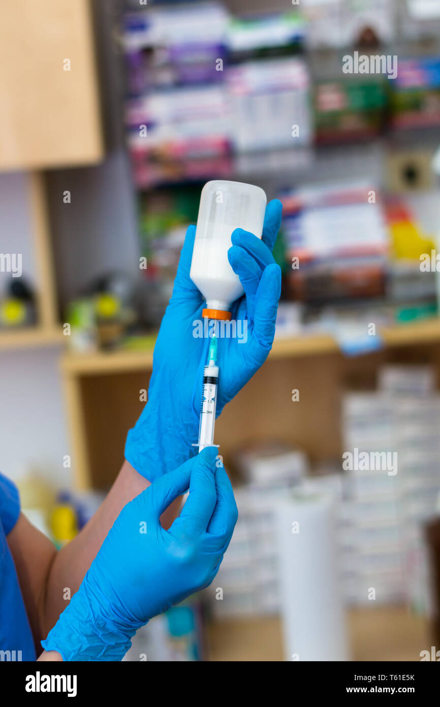 the veterinarian women with blue gloves extract a white drug with a ...