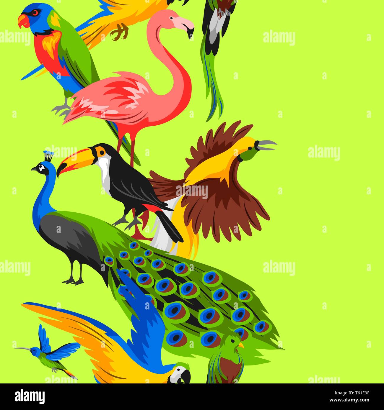 Amazon rainforest birds Stock Vector Images - Alamy