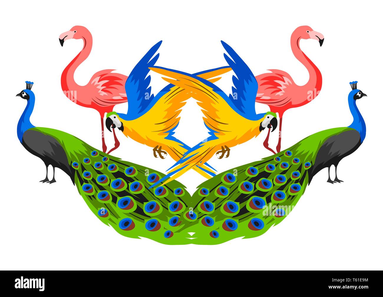 Exotic birds Stock Vector Images - Alamy