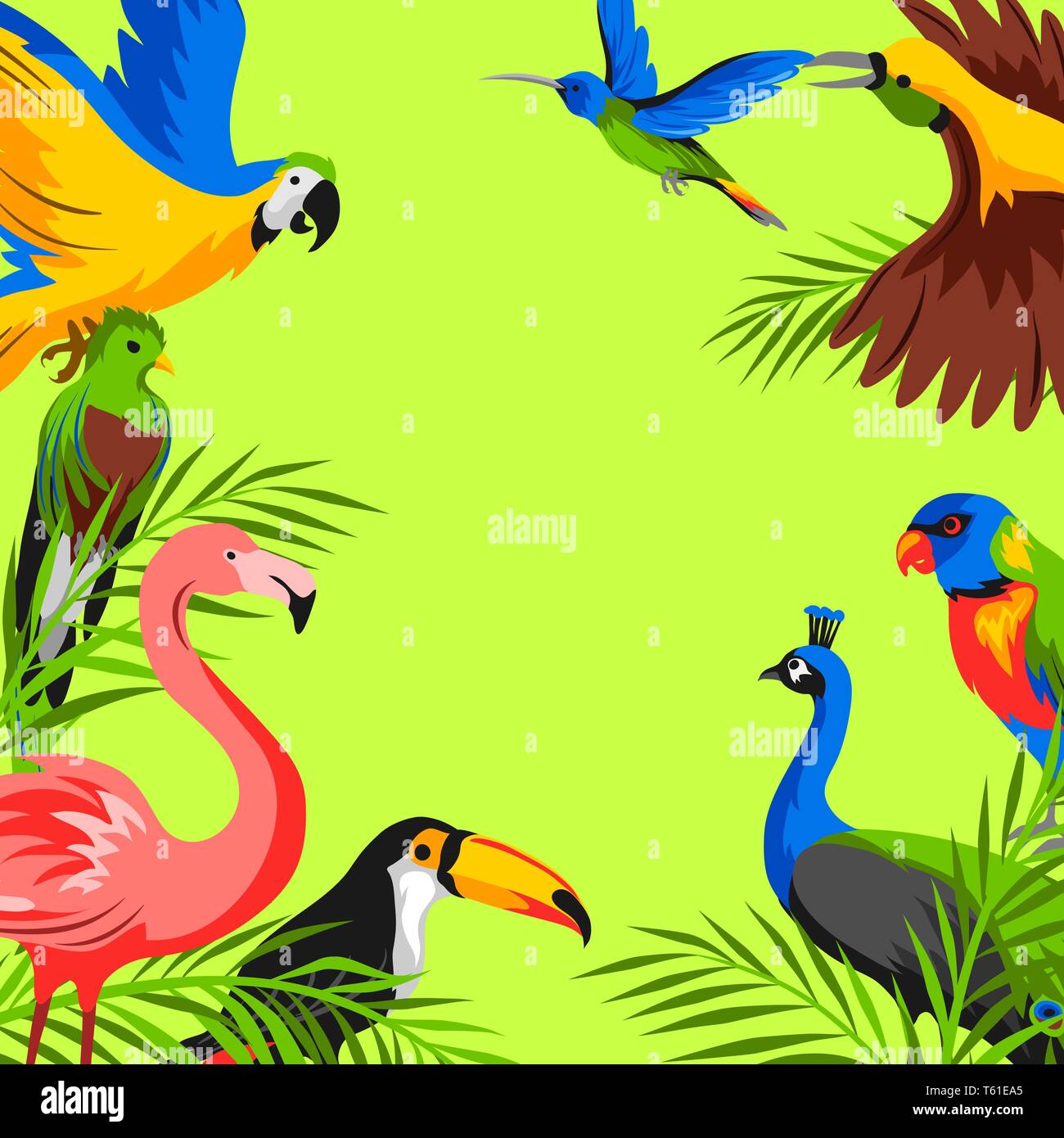 Backgrounds Exotic Birds