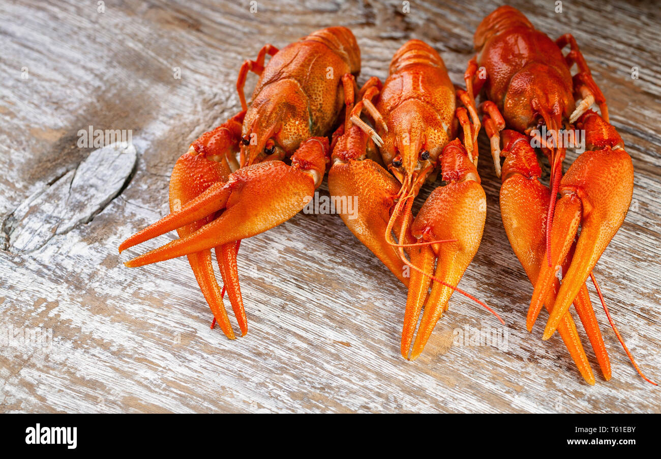 Crayfish High Resolution Stock Photography and Images - Alamy