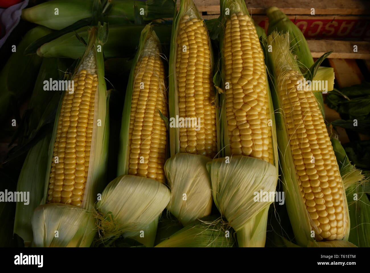 Organica hi-res stock photography and images - Alamy