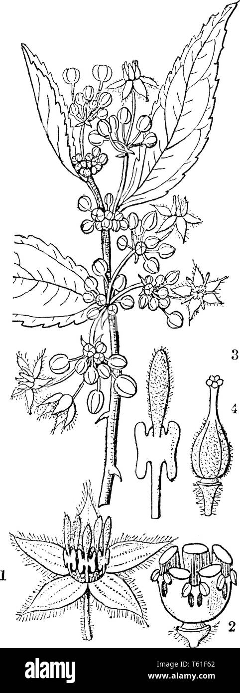 Part 2 vector vectors Black and White Stock Photos & Images - Alamy