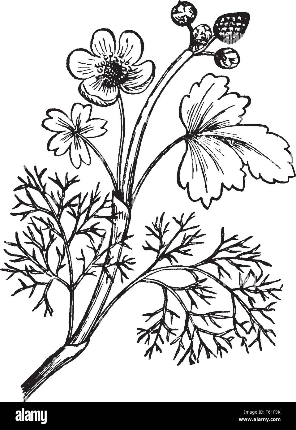 Vectors cut out Cut Out Stock Images & Pictures - Alamy