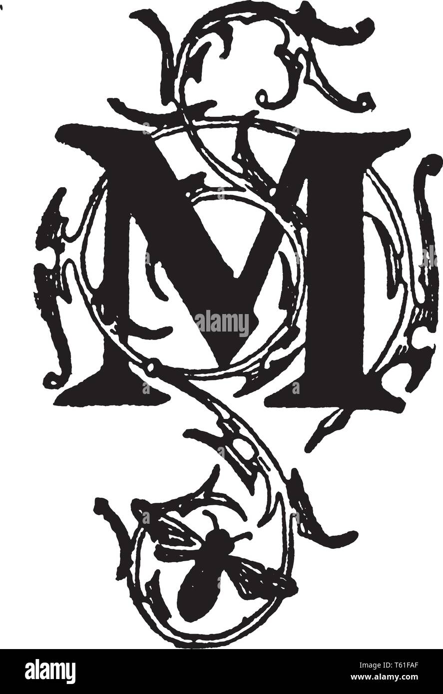 A floral and decorative capital letter M, vintage line drawing or ...