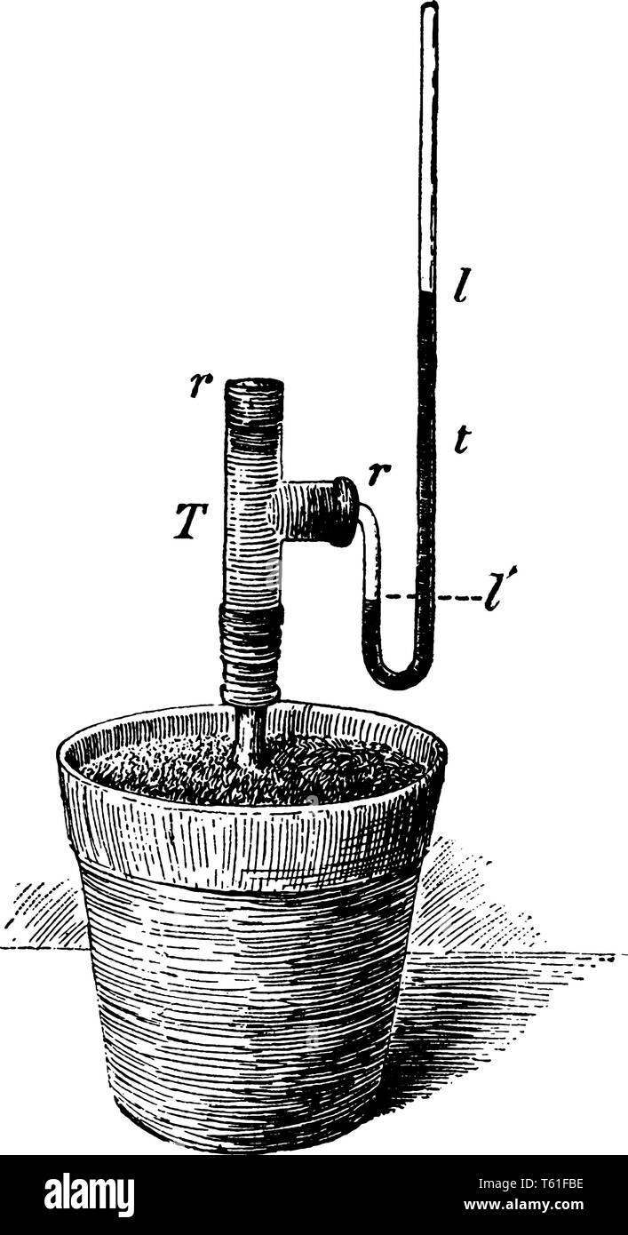 Root Pressure Diagram